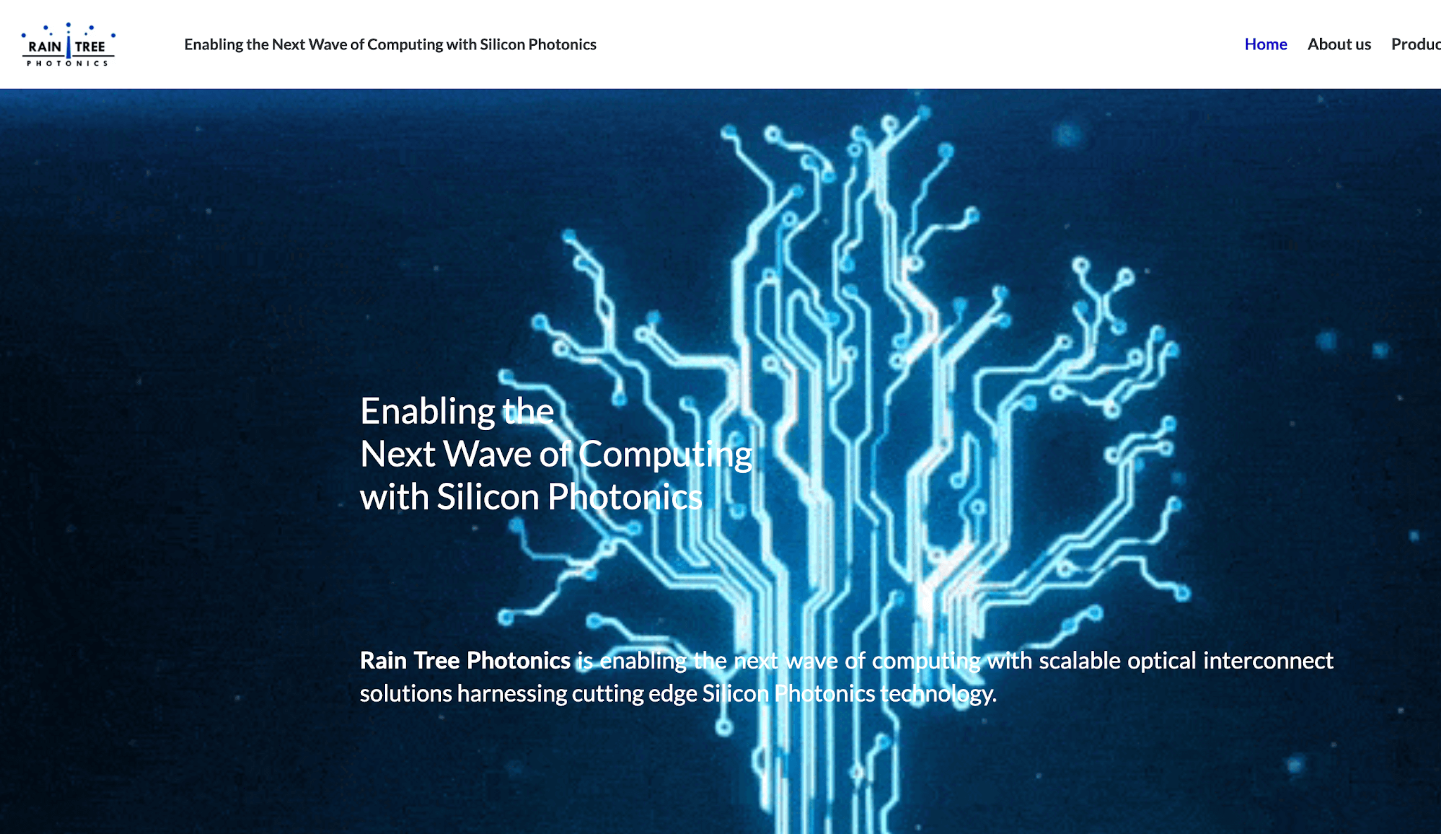 Rain Tree Photonics and MaxLinear deliver 400G module for hyperscalers - Converge Digest